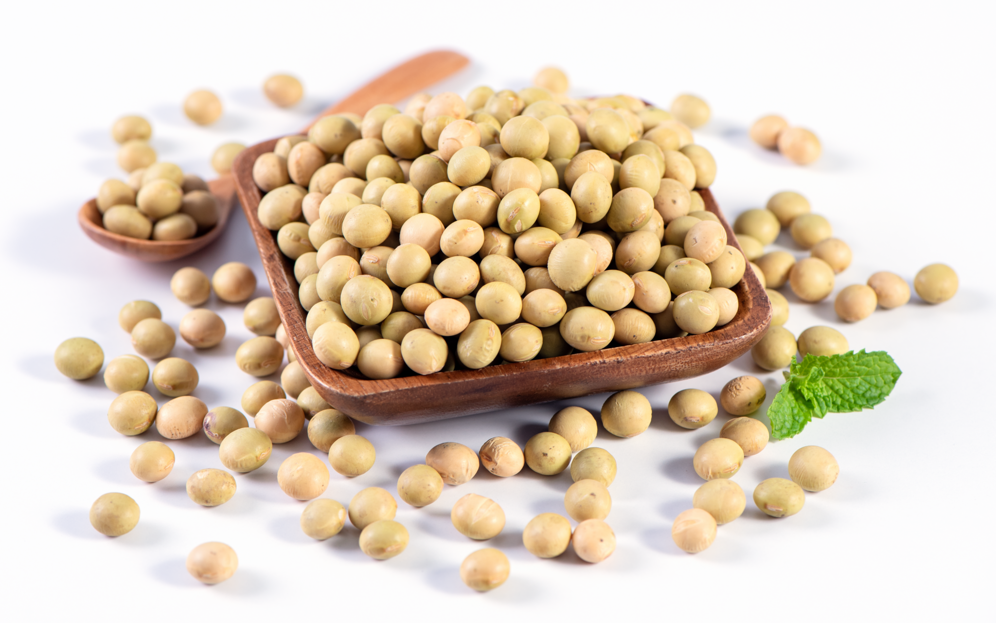 Is Soya Bad for you? – The Lean Co.